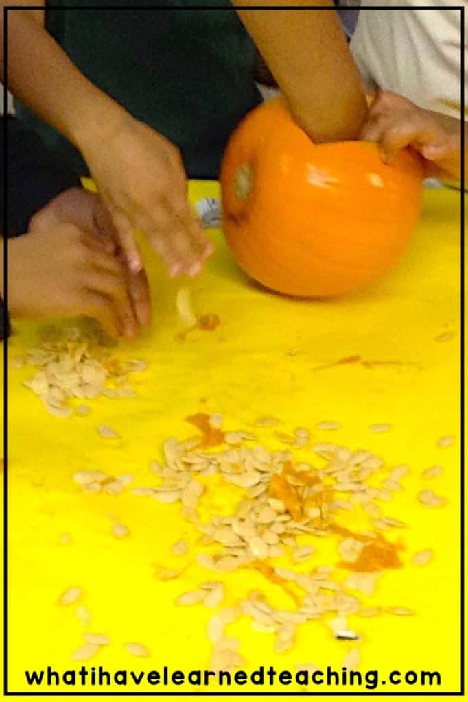 Pumpkin Measurement Activity