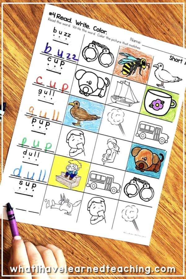 Back to Basics Phonics Worksheets - CVC BUNDLE