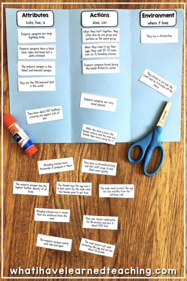 Write about Penguins - Informational Writing
