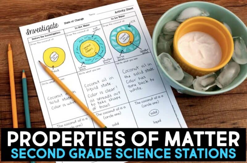 Free Science Sorting Activity for 2nd, 3rd, 4th and 5th Grades