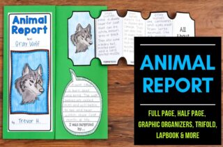 Teach Students to Write Animal Reports - Free Template