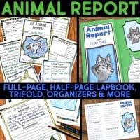 Teach Students to Write Animal Reports - Free Template