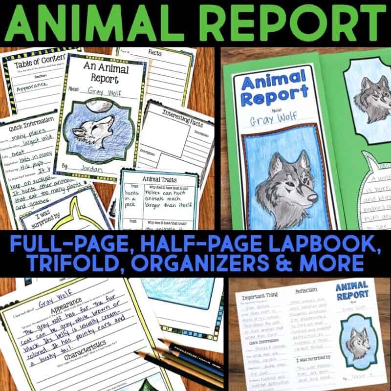 Animal Report Templates, Graphic Organizers, Rubric, Lapbook, Trifold