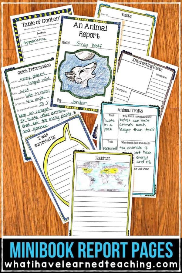 Animal Research Project Ideas for Elementary Students