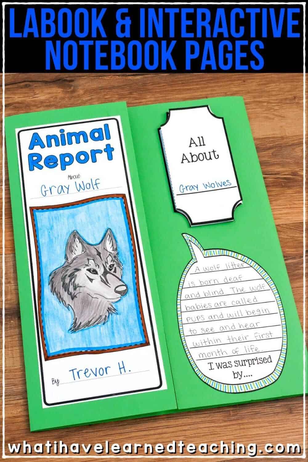 Animal Report Offer