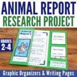 Animal Research Project Ideas for Elementary Students