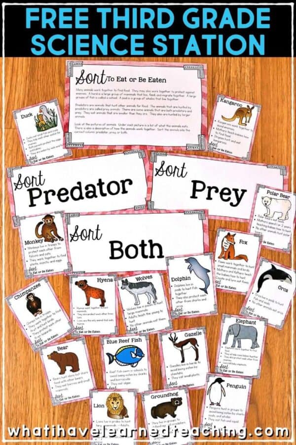 Free Science Sorting Activity for 2nd, 3rd, 4th and 5th Grades