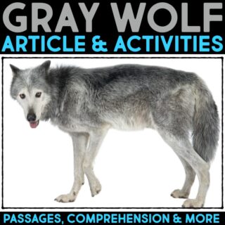 Gray Wolf Reading Passage & Comprehension Activities