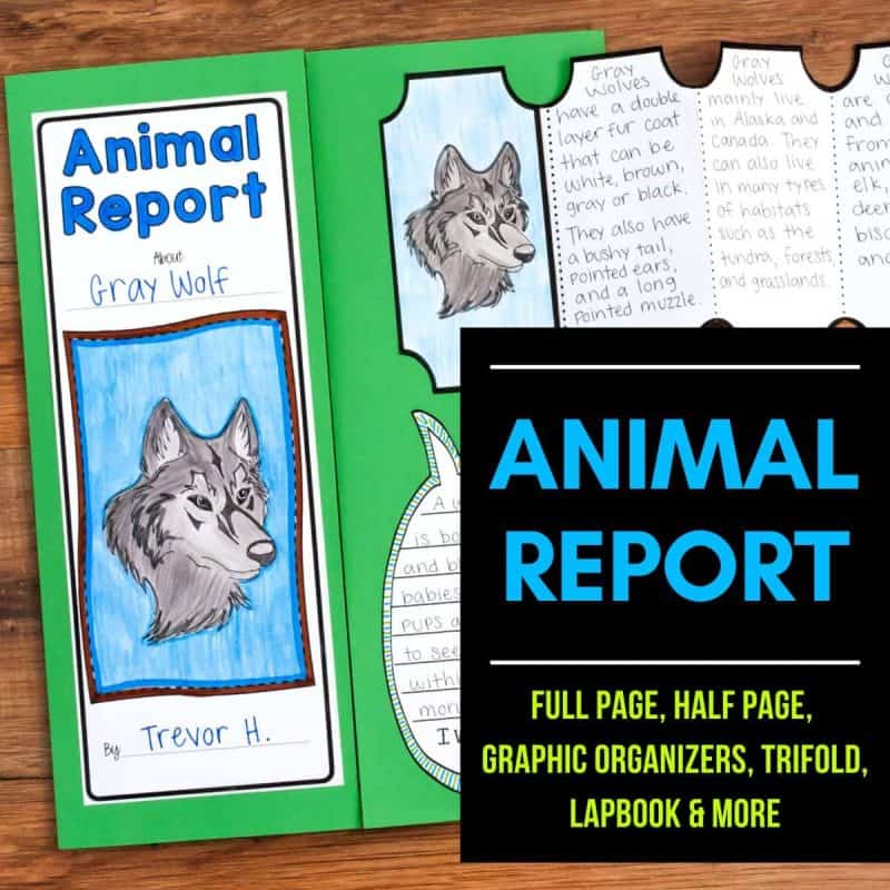 Animal Research Projects for Elementary Students