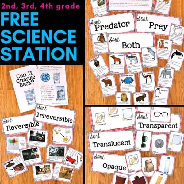 Plate Boundaries Sort - Fourth Grade Science Station
