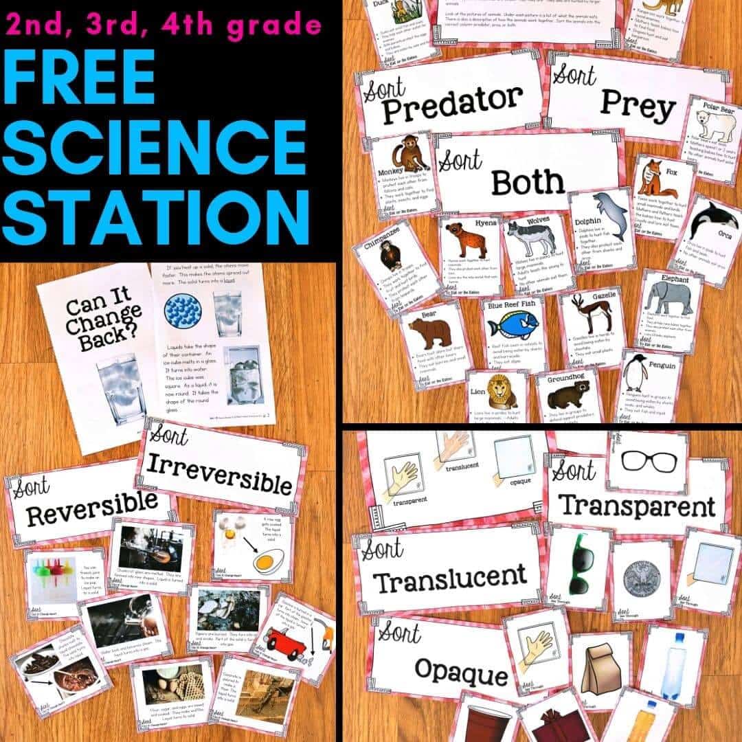 Sort Plant Life Cycle Science Station