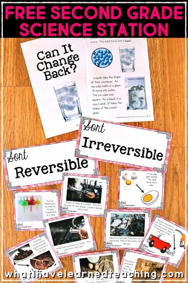 Free Science Sorting Activity for 2nd, 3rd, 4th and 5th Grades