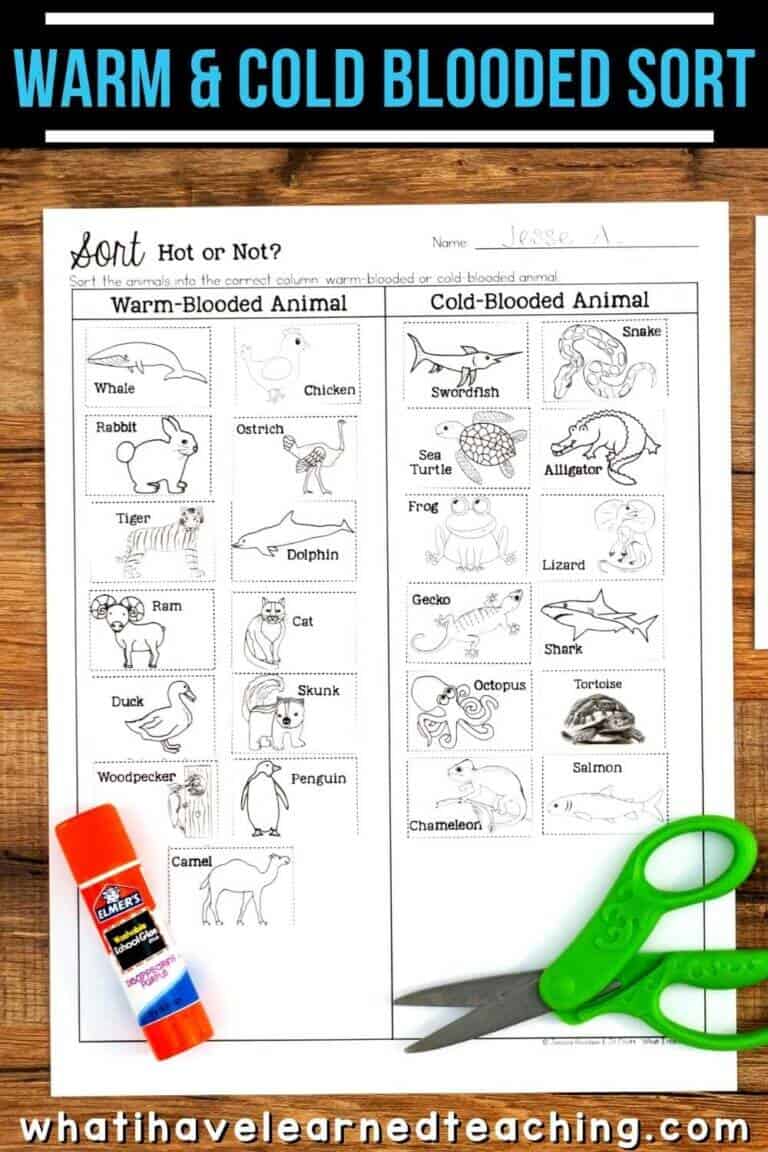 Warm-Blooded Vs. Cold-Blooded Animals Science Sort
