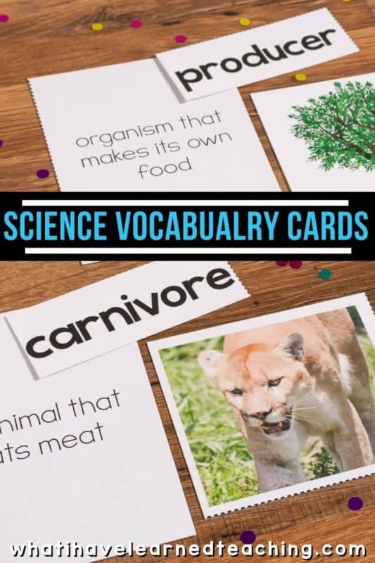 Science Vocabulary Cards with Pictures for Elementary NGSS (2nd–5th Grade)