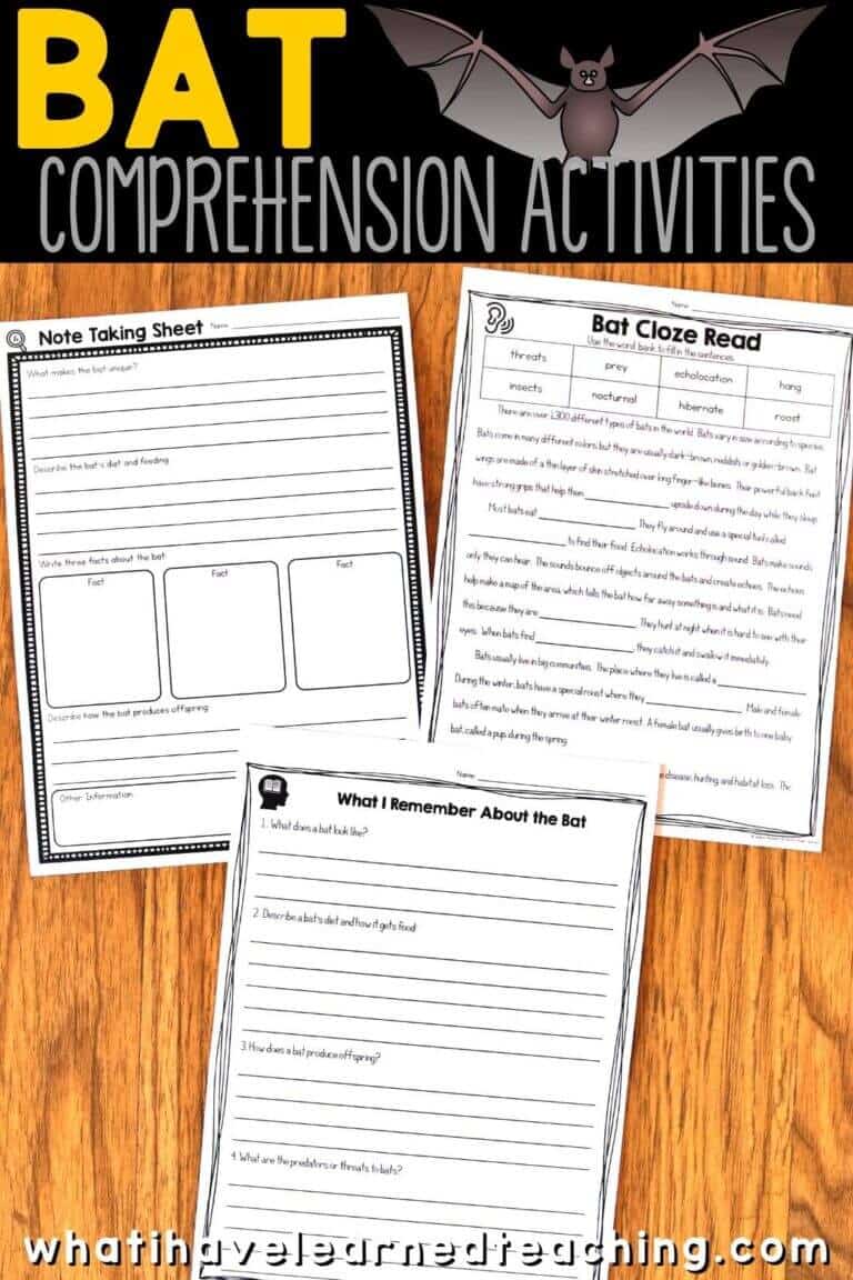 Bats Nonfiction Writing Activity & Anchor Chart