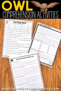 Halloween Animals Reading Passages & Comprehension Activities