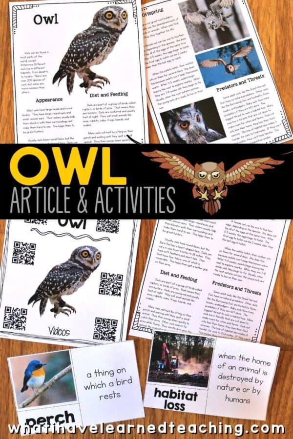 Halloween Animals Reading Passages & Comprehension Activities