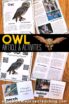 Halloween Animals Reading Passages & Comprehension Activities