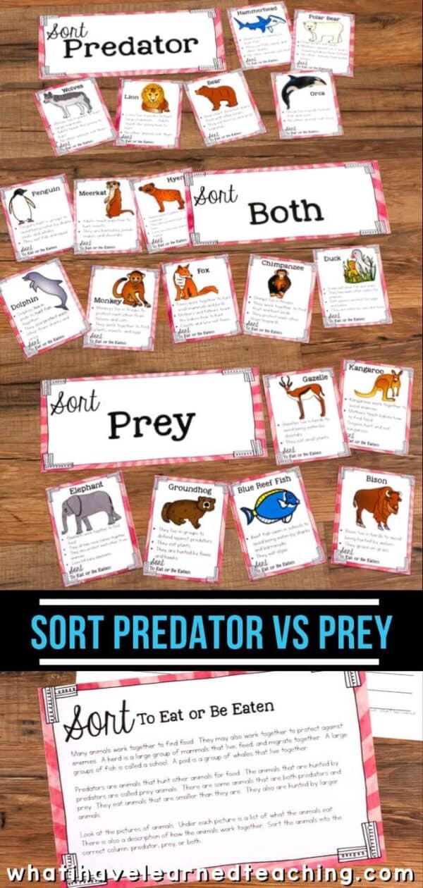 Predator or Prey Science Sorting Activity & Reading Passage