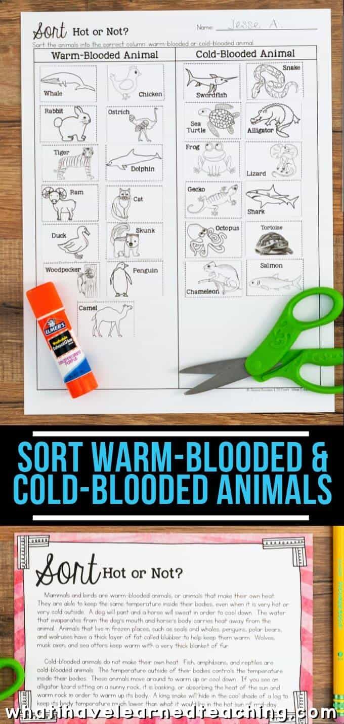 Warm-Blooded Vs. Cold-Blooded Animals Science Sort