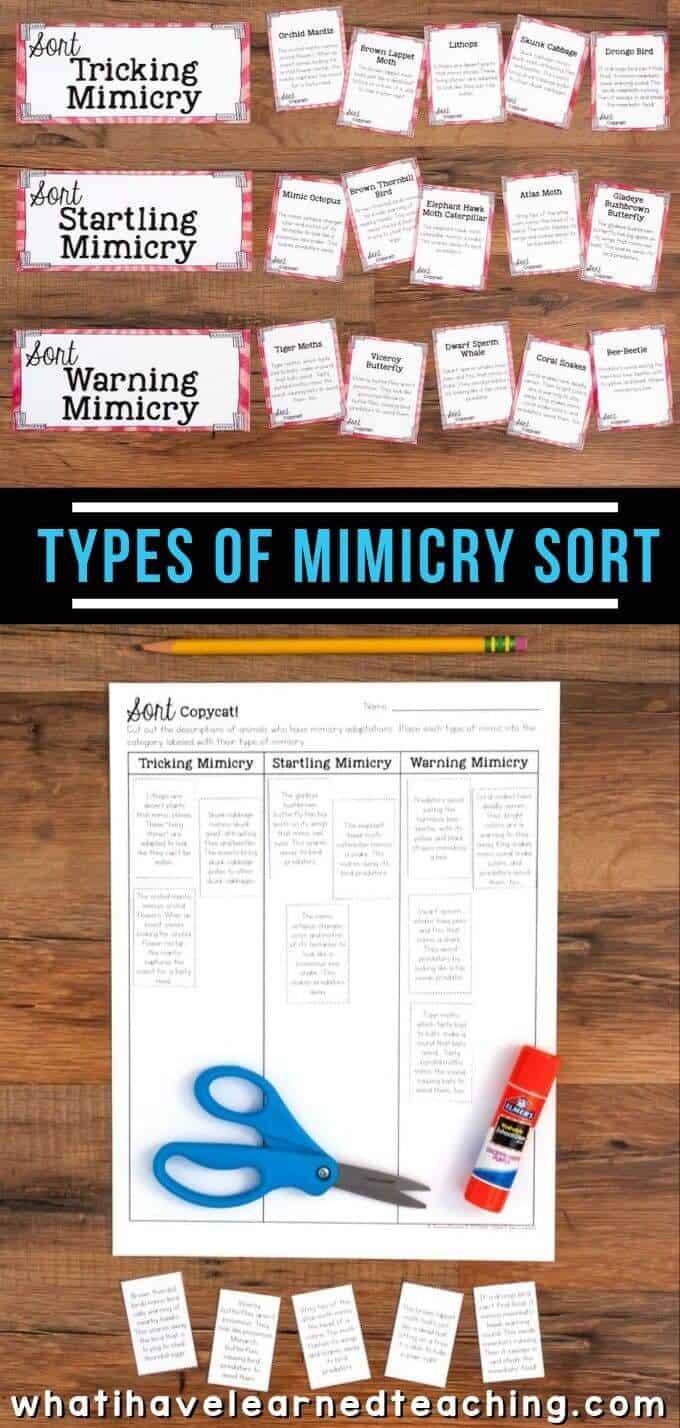 Types of Mimicry Card Sort Third-Grade Science Activity