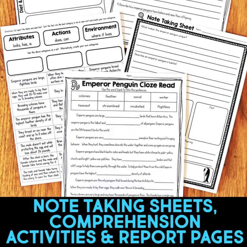 Emperor Penguins Informational Article