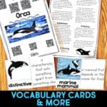 Orca Informational Article