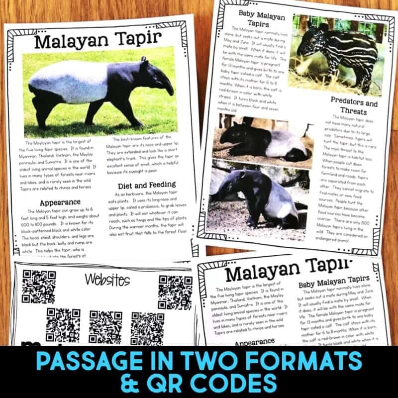 Malayan Tapir Informational Article, Website Research and Comprehension ...