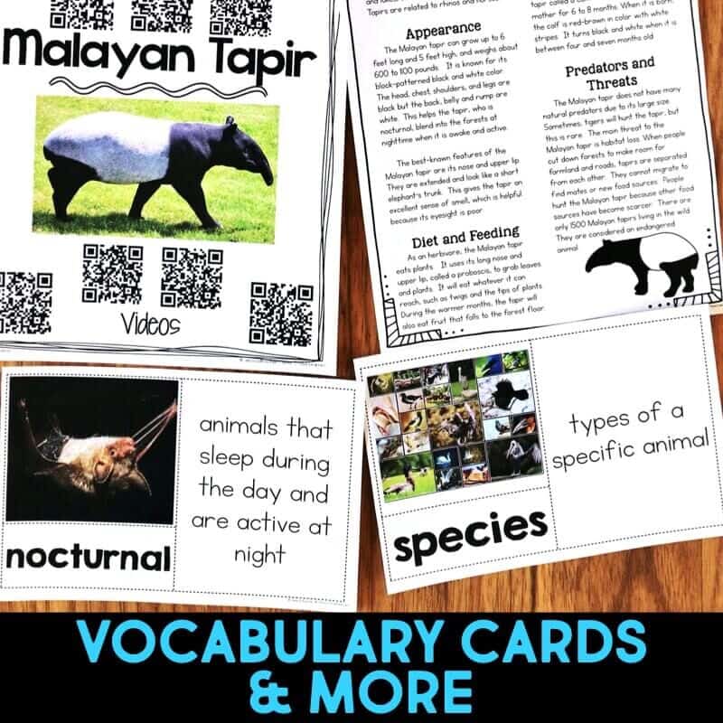 Malayan Tapir Informational Article, Website Research and Comprehension ...