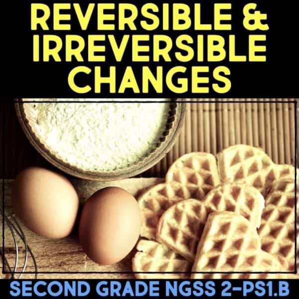 Reversible and Irreversible Changes - Second Grade Science Stations