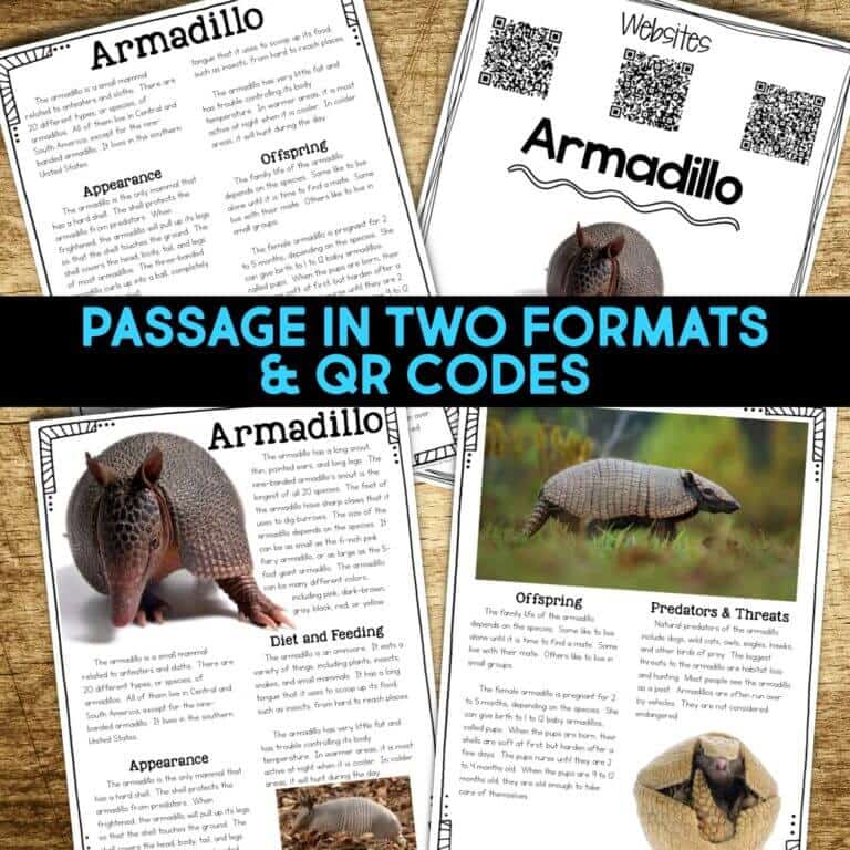 Armadillo Informational Article