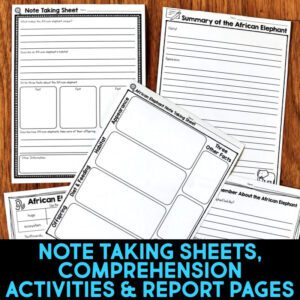 Elephant Informational Article and Comprehension Activities