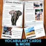 Elephant Informational Article and Comprehension Activities
