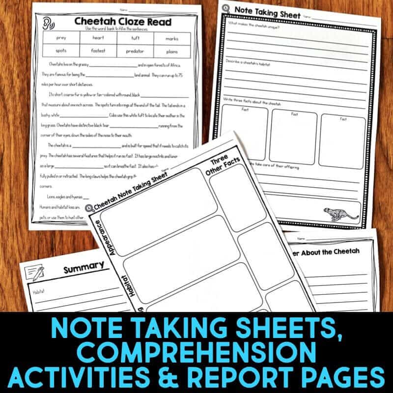 Cheetah Informational Article and Comprehension Activities