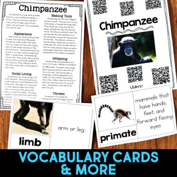 Chimpanzee Reading Passage and Comprehension Activities