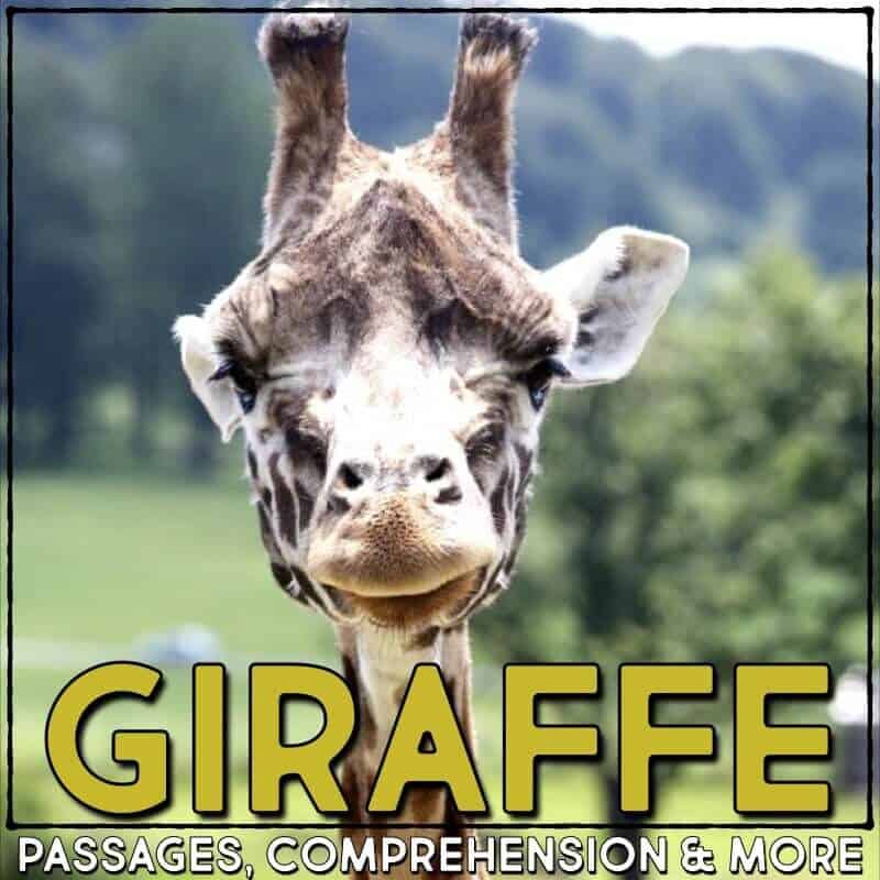 Giraffe Informational Article and Comprehension Activities
