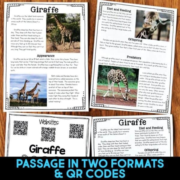 Giraffe Informational Article and Comprehension Activities