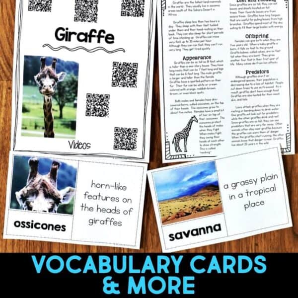 Giraffe Informational Article and Comprehension Activities