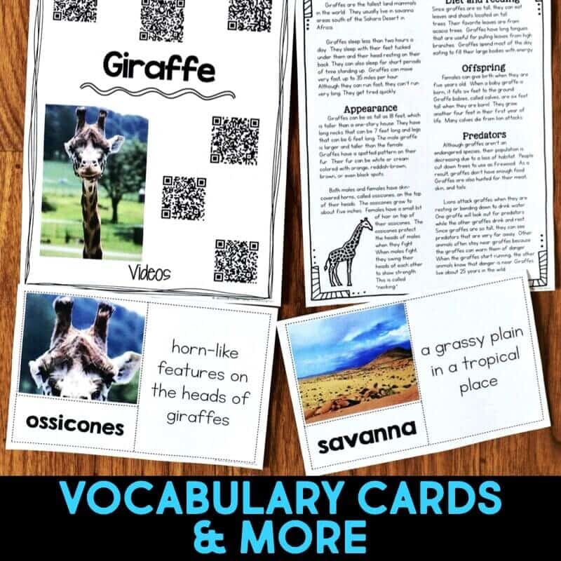 Giraffe Informational Article and Comprehension Activities