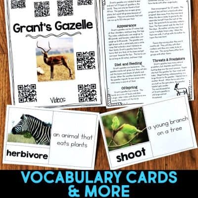 Grant's Gazelle Informational Article and Comprehension Activities