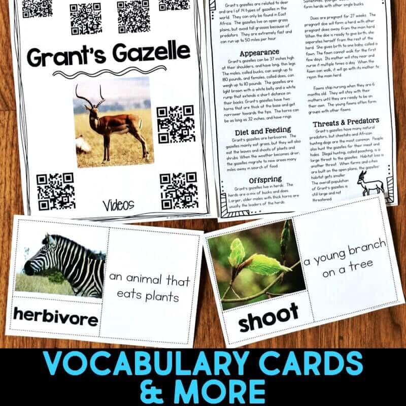 Grant's Gazelle Informational Article and Comprehension Activities