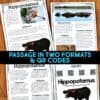 Hippo Informational Article and Comprehension Activities