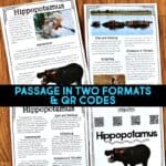 Hippo Informational Article and Comprehension Activities