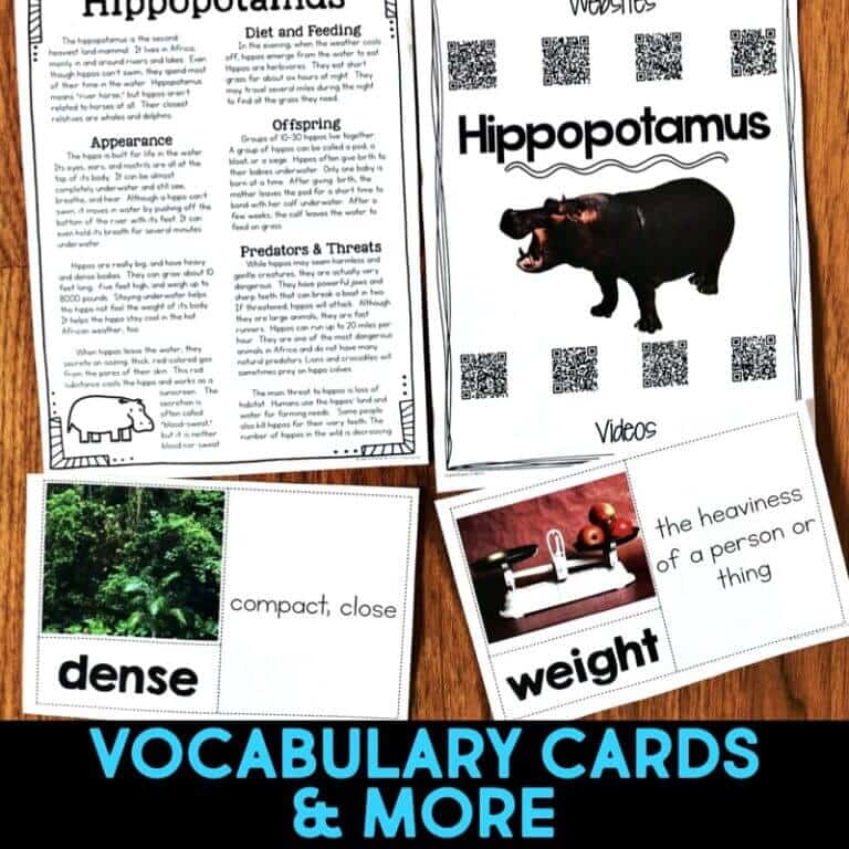 Hippo Informational Article and Comprehension Activities