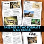 Jackal Informational Article and Comprehension Activities