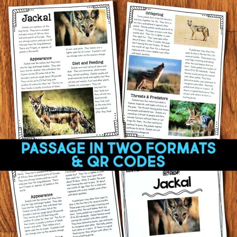 Jackal Informational Article and Comprehension Activities