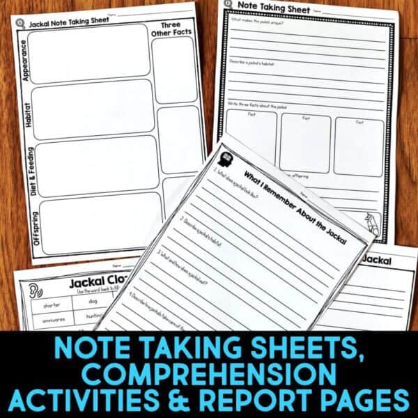 Jackal Informational Article and Comprehension Activities