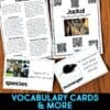 Jackal Informational Article and Comprehension Activities