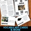 Jackal Informational Article and Comprehension Activities