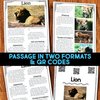Lion Informational Article and Comprehension Activities